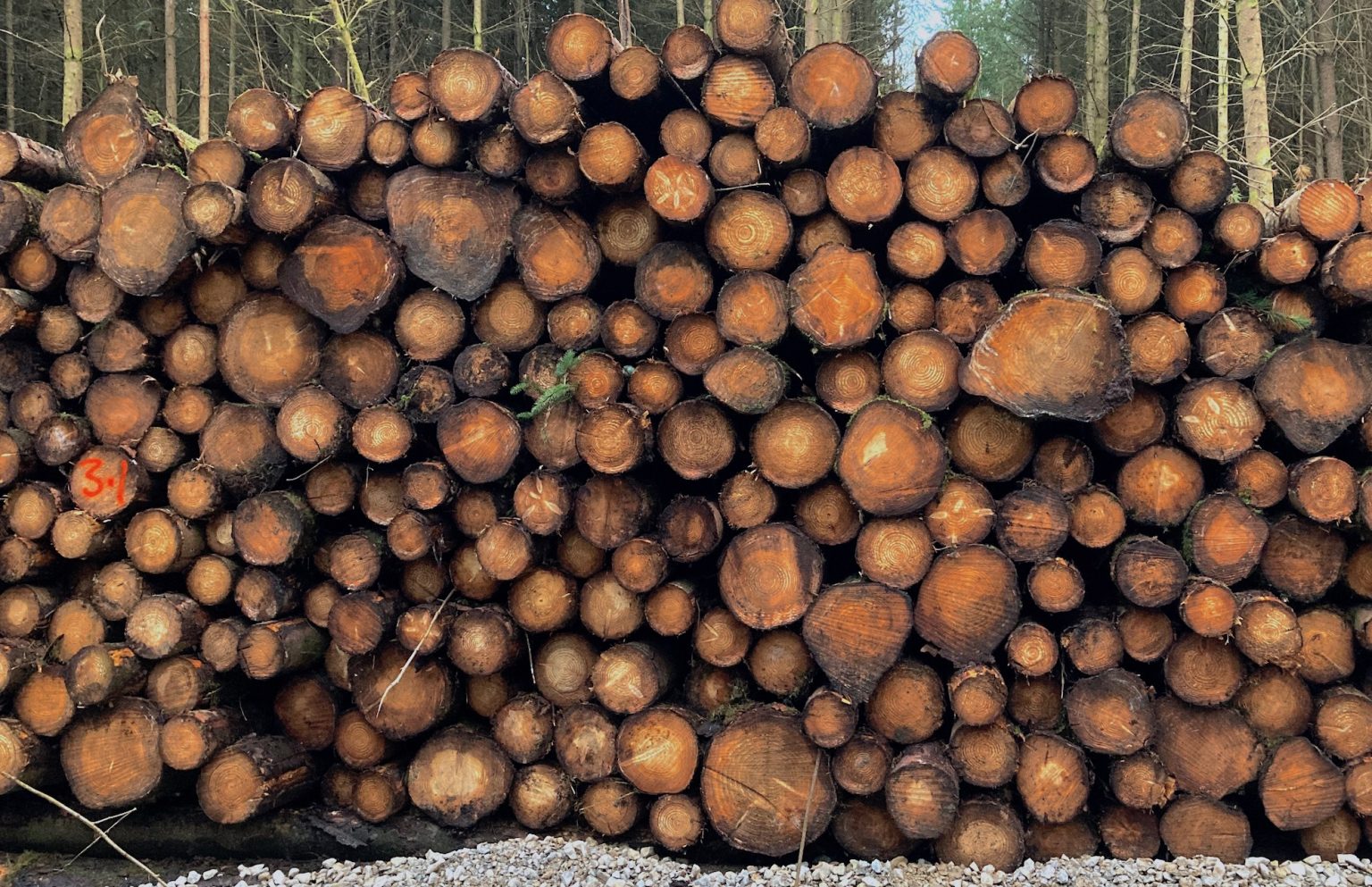 The Region - Mount Hillary Holiday Pods | Glamping Cork